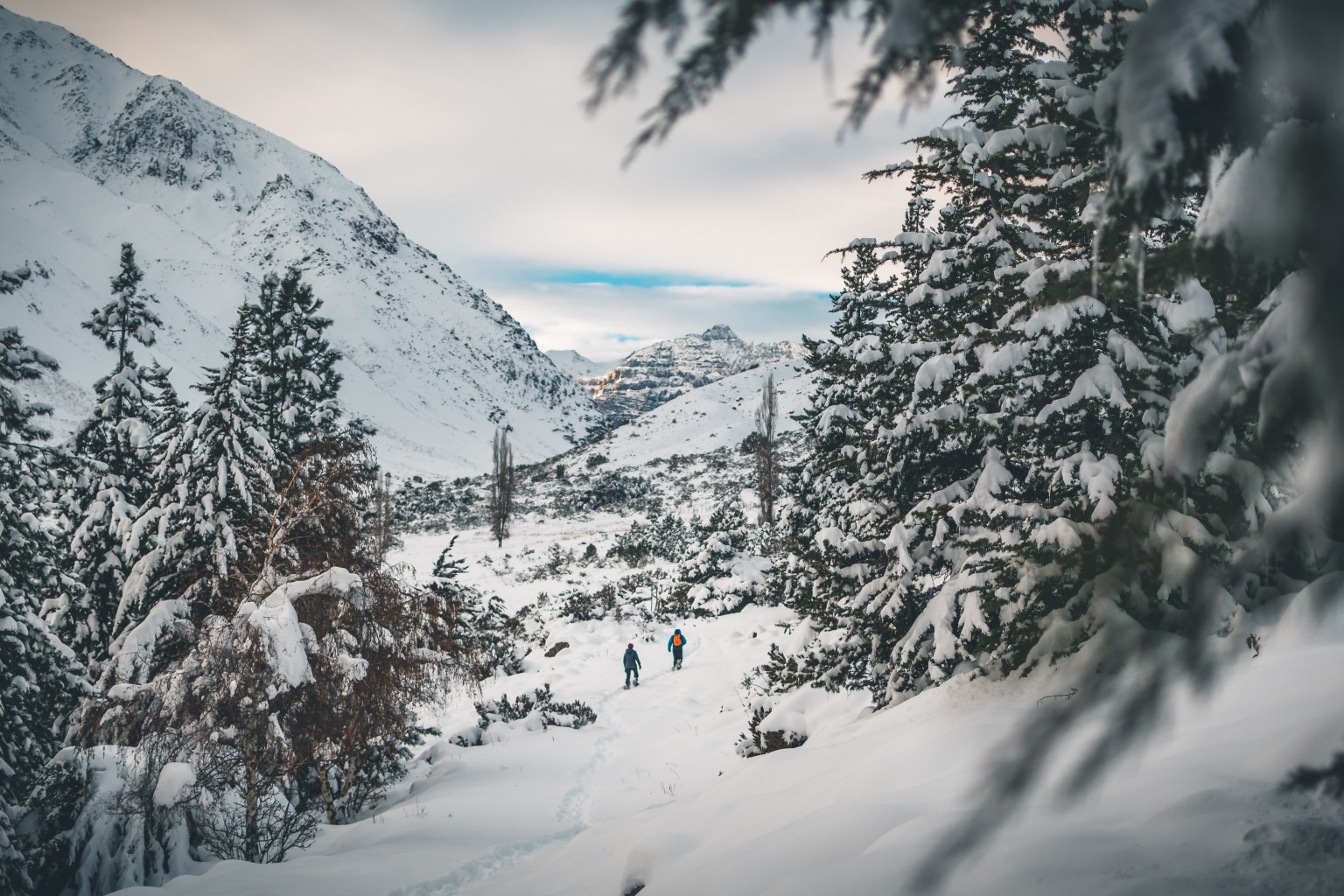 Parque Yerba Loca - Cultura de Montaña